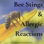 Understanding Bee Stings & Allergic Reactions - Heritage Acres Market LLC