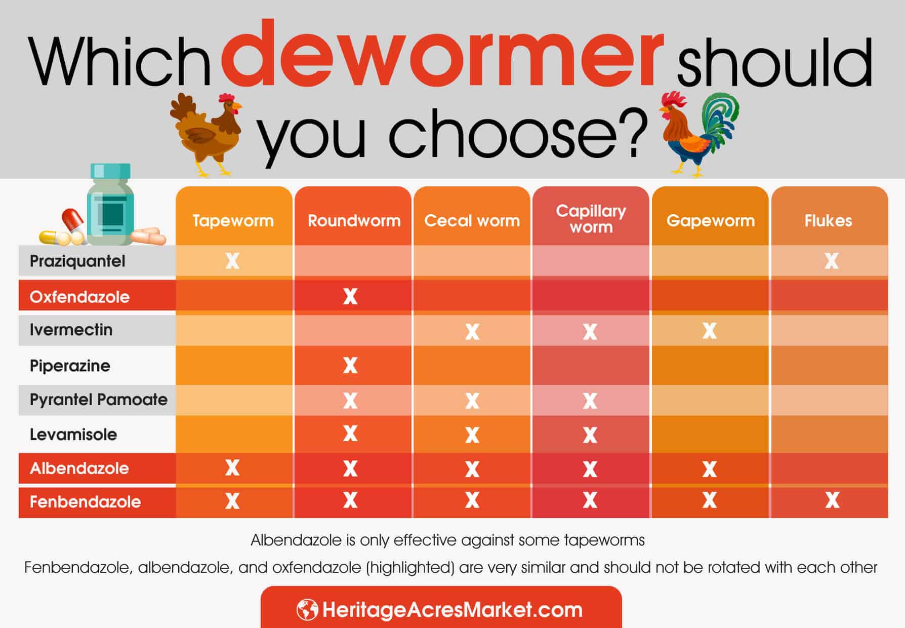 How To Deworm Chickens » Heritage Acres Market LLC
