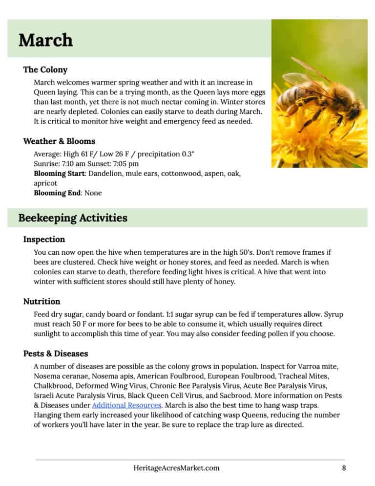 Free Insurance for Honey Bees - Heritage Acres Market LLC