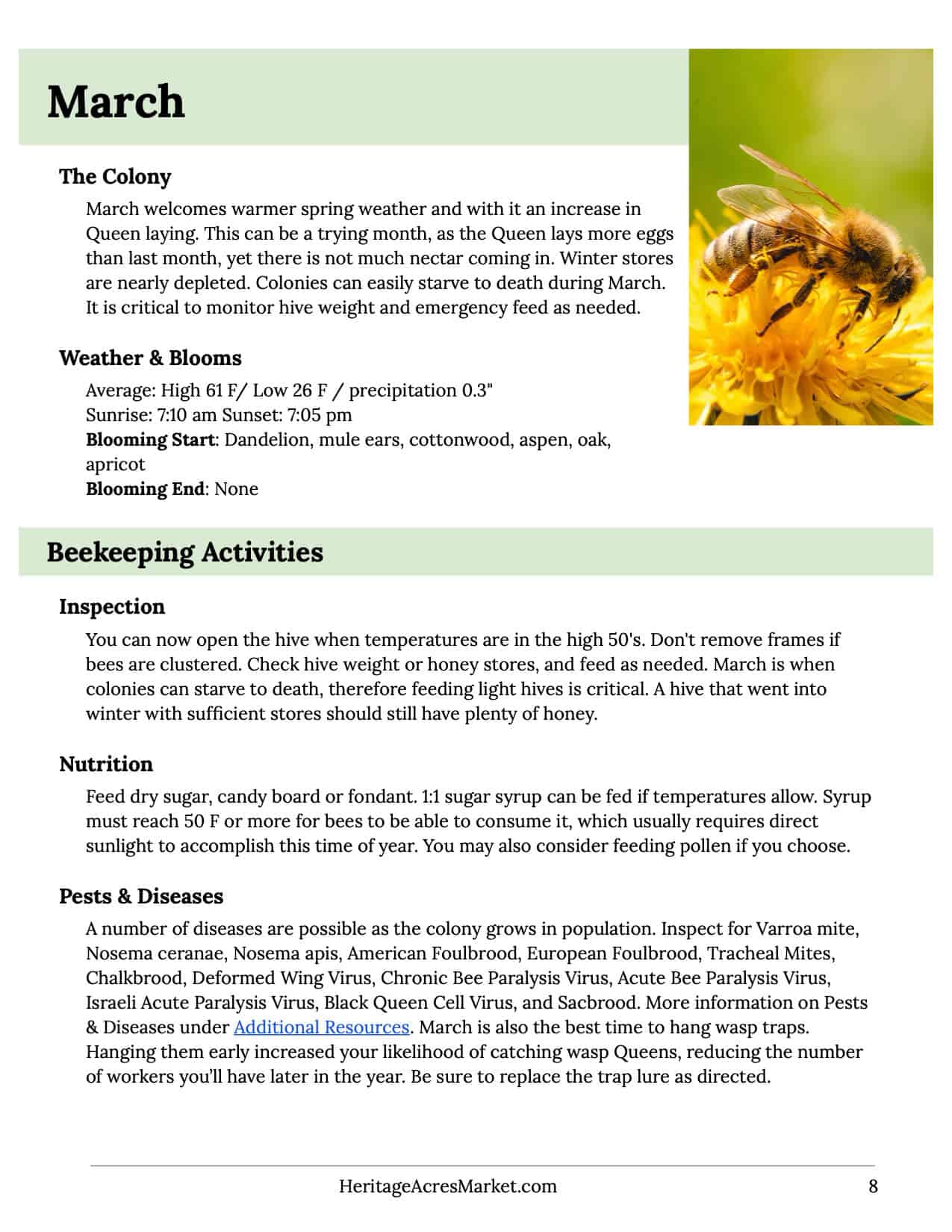 12 Best Beekeeping Books - Heritage Acres Market LLC