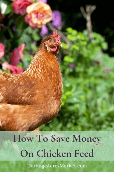 How To Save Money On Chicken Feed - Heritage Acres Market LLC