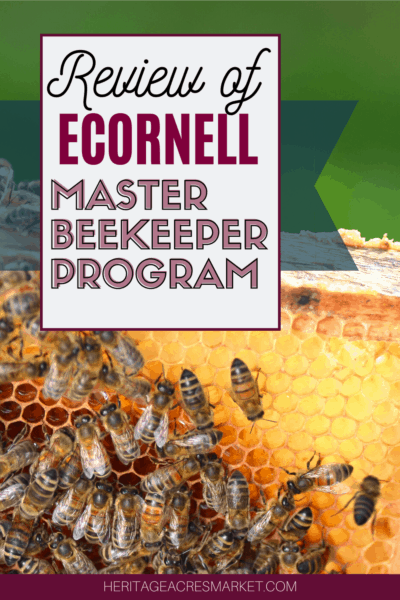 Review of the eCornell Master Beekeeping Online Certificate Program ...