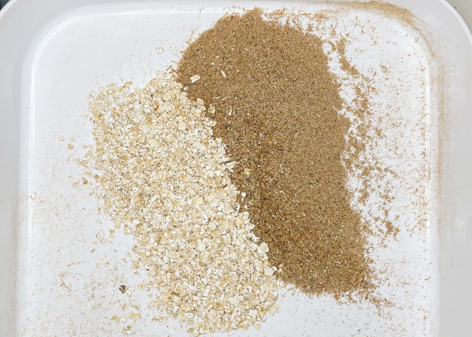 How To Start A Mealworm Farm: A Comprehensive Guide For Beginners ...