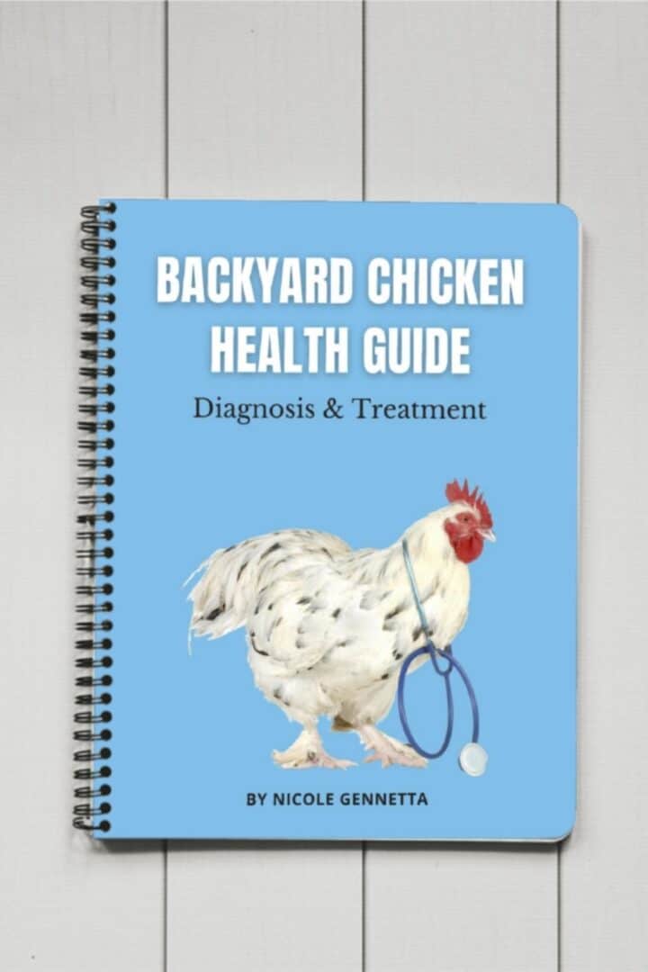 DIY Chicken First Aid Kit - Heritage Acres Market LLC