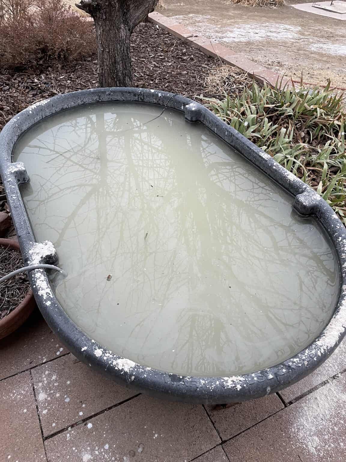 First Saturday Lime: How To Use This Insect Repellant And Deodorizer ...