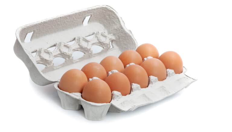 The Ultimate Guide to Chicken Coops: Everything You Need to Know ...